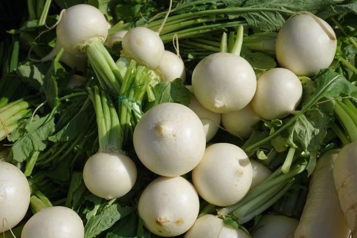 Qué plantar en lugar de papas: argumentos a favor de los nabos - Mundo ...