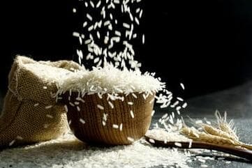 Nuevas estrategias para salvar el grano más indispensable del mundo ...