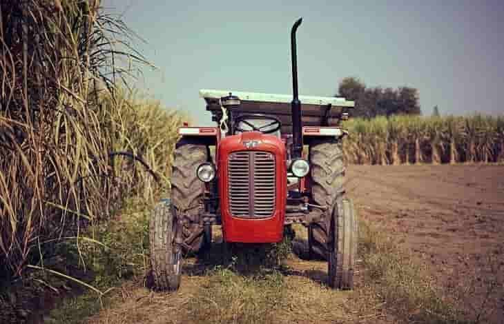 El azúcar cubano en el umbral del cambio y la agricultura regenerativa ...