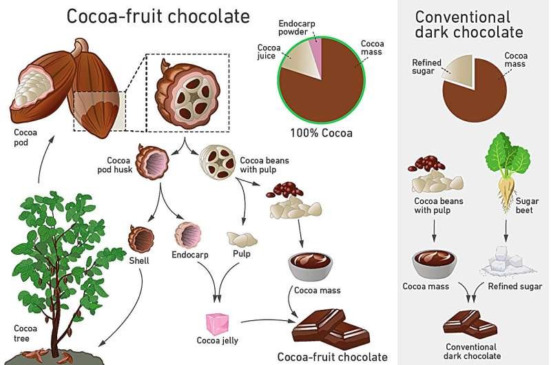 Chocolate que aprovecha todo el potencial del fruto del cacao - Mundo ...