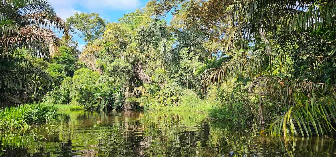 Nicaragua: El refugio de vida silvestre «Los Guatuzos» es más que un ...