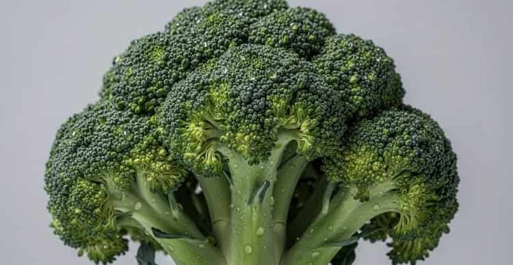 Identifican el gen que determina el brillo y el color verde del brócoli ...
